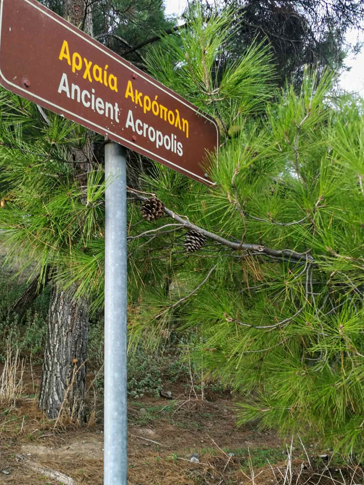 ΑΘΛΗΣΗ Κ’ ΜΑΘΗΣΗ ΣΤΗΝ 15η ΠΕΖΟΠΟΡΙΑ ΤΟΥ ΚΕΠ ΥΓΕΙΑΣ ΔΗΜΟΥ ΡΗΓΑ ΦΕΡΑΙΟΥ ...